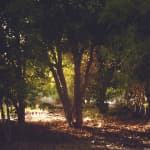 The Archive - Alex Poli Photography