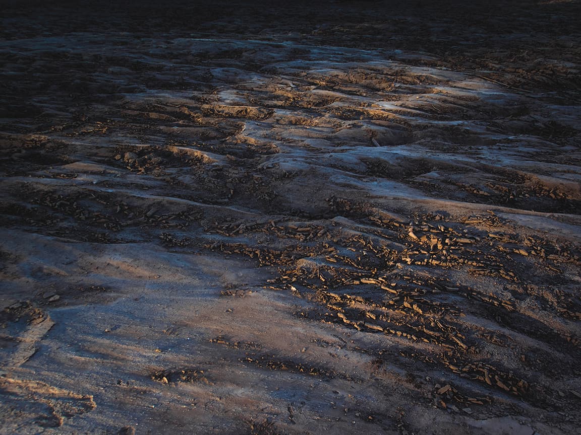 The Archive - Alex Poli Photography