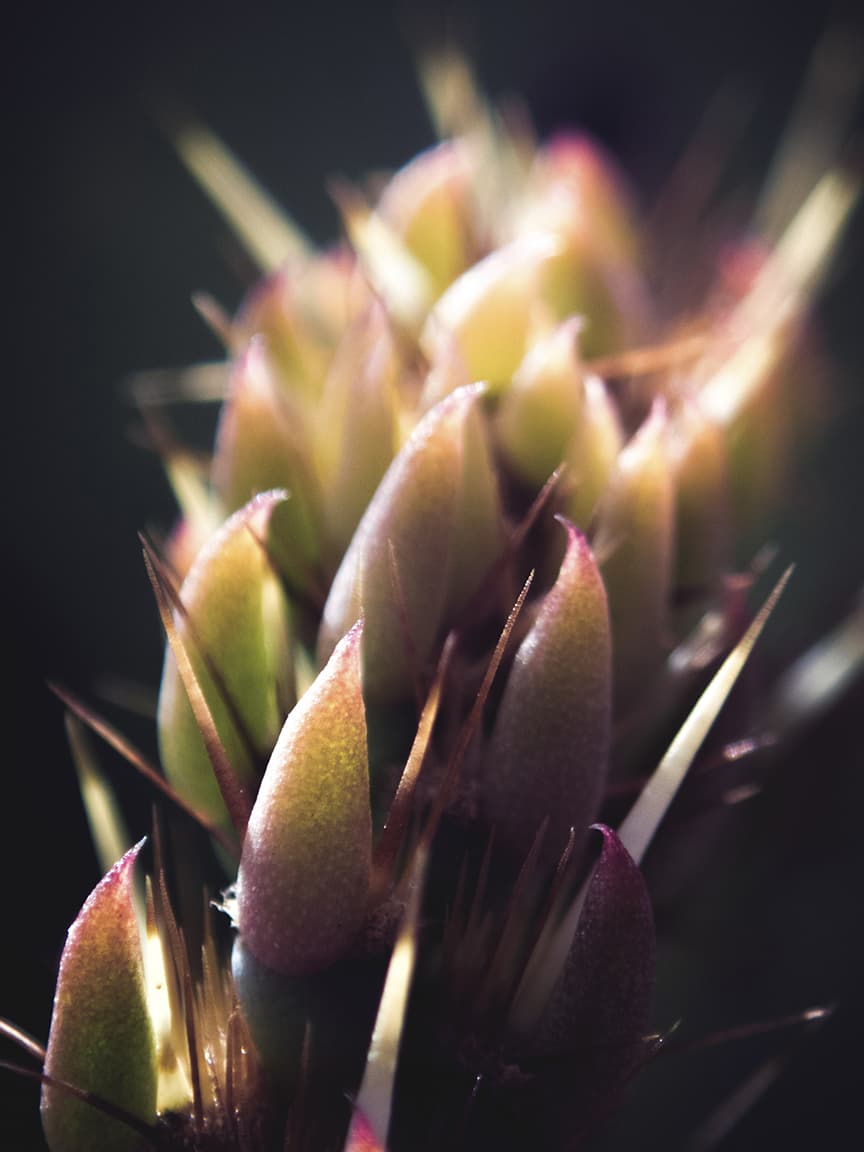 The Archive - Alex Poli Photography