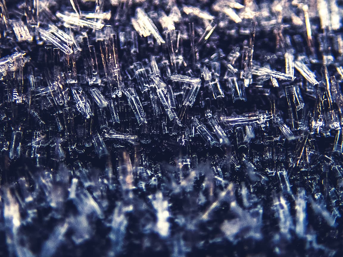 The Archive - Alex Poli Photography