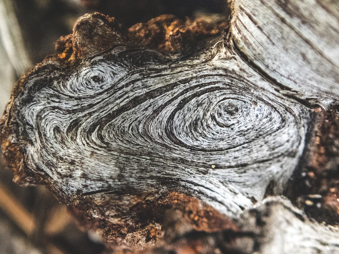 The Archive - Alex Poli Photography