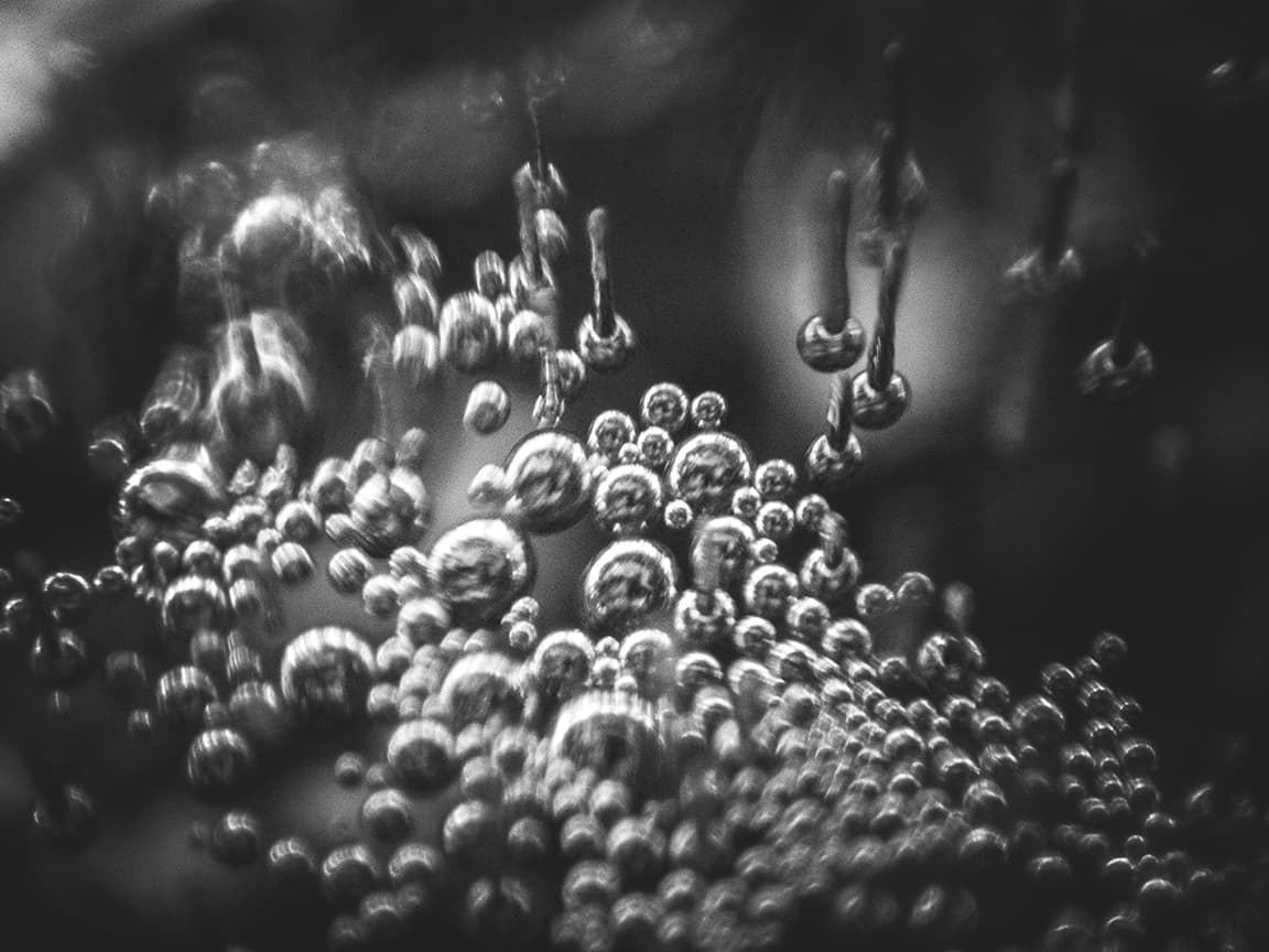 The Archive - Alex Poli Photography