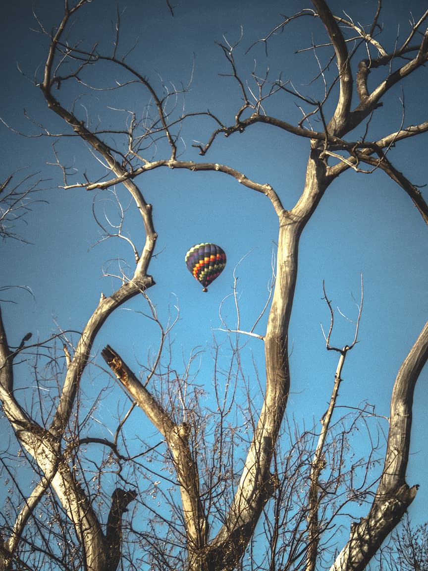 The Archive - Alex Poli Photography