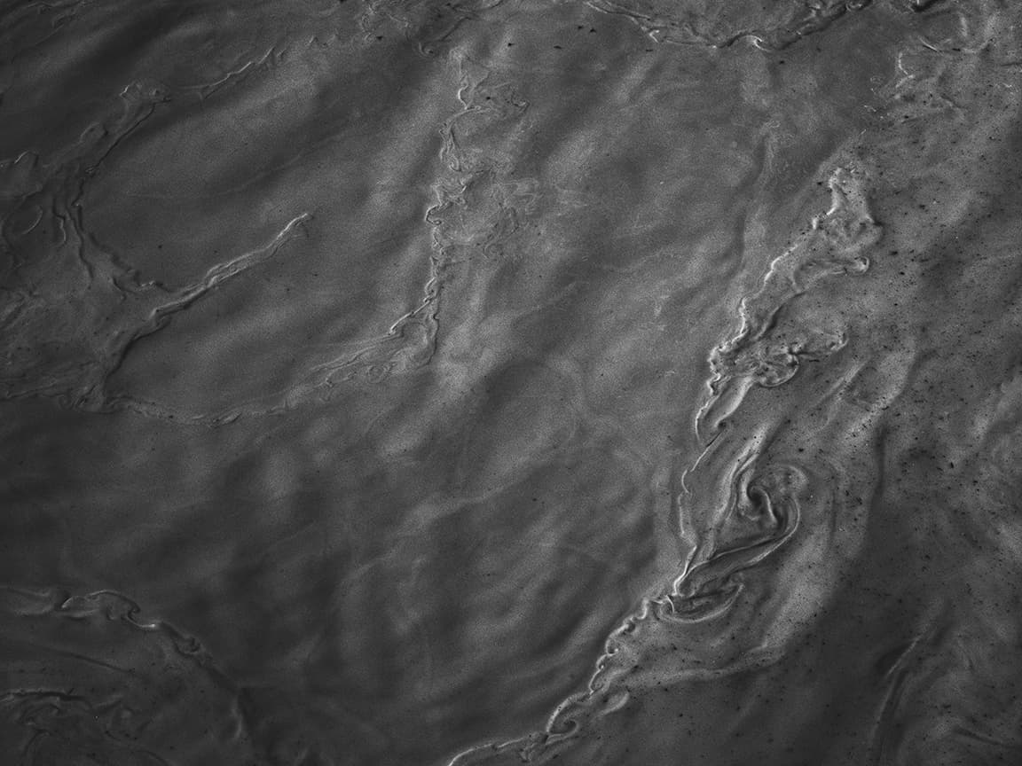 The Archive - Alex Poli Photography