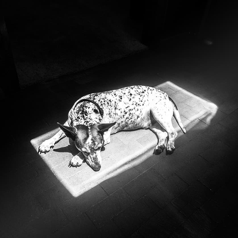 Alex Poli Photography