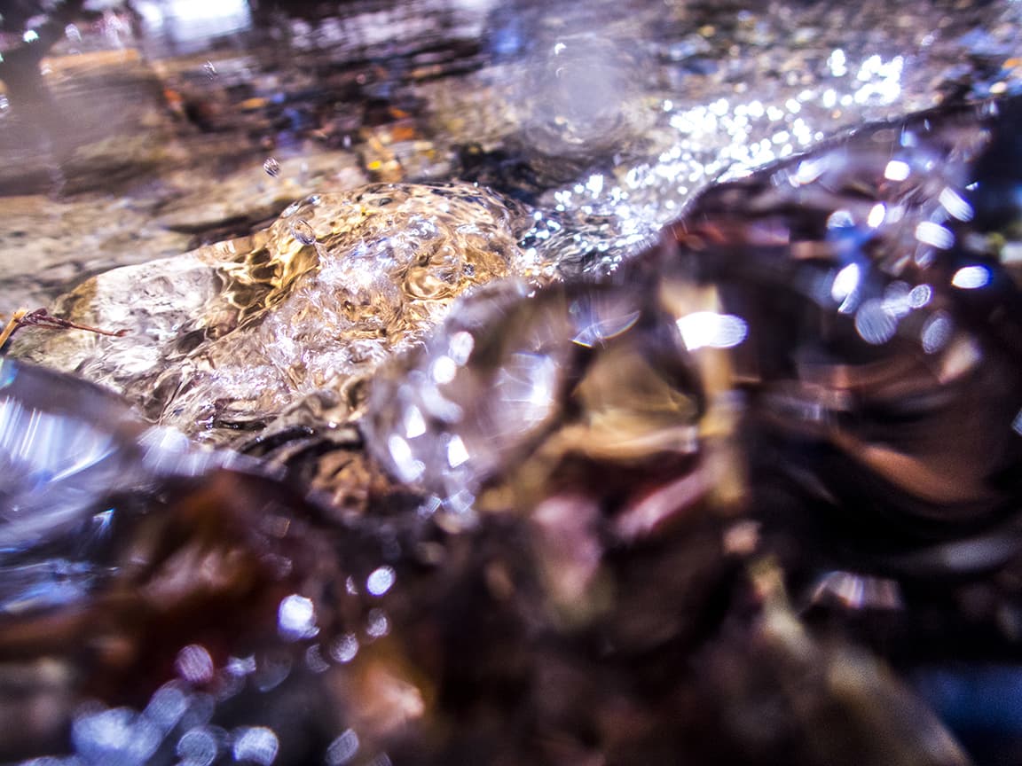 Alex Poli Photography