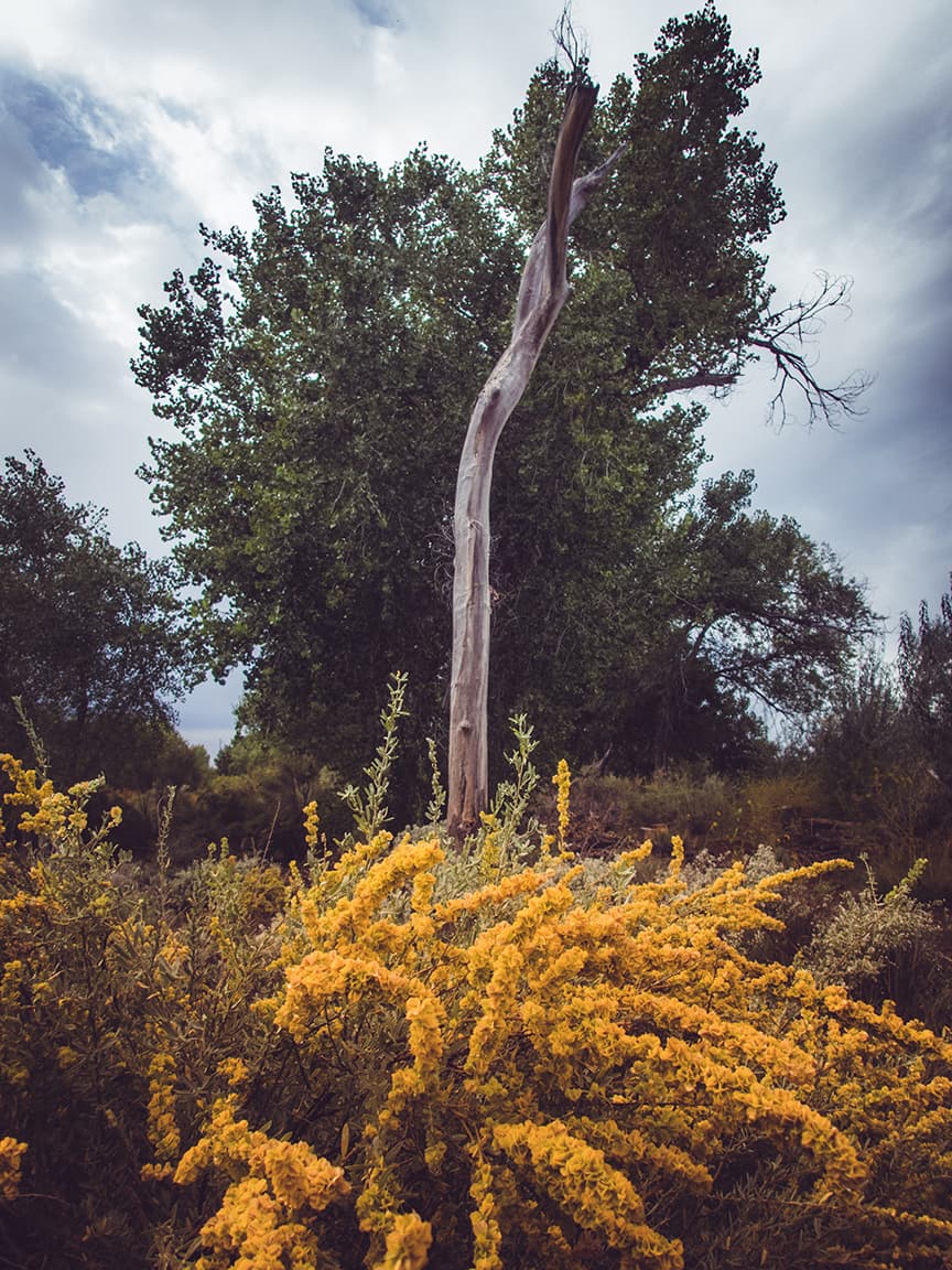 Alex Poli Photography