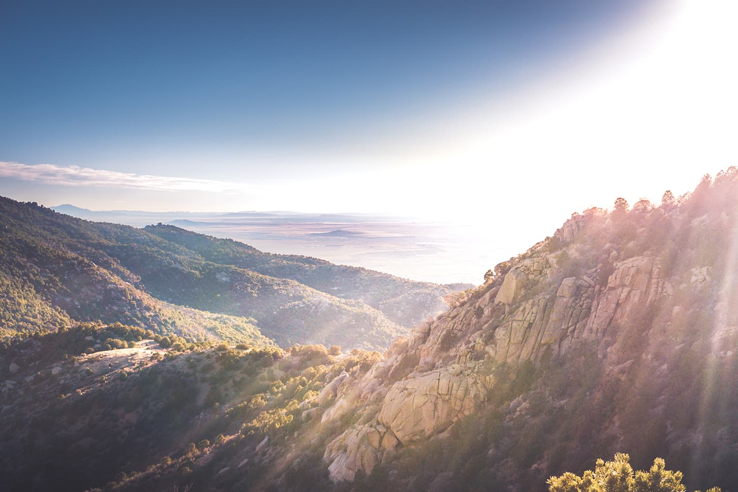 Alex Poli Photography