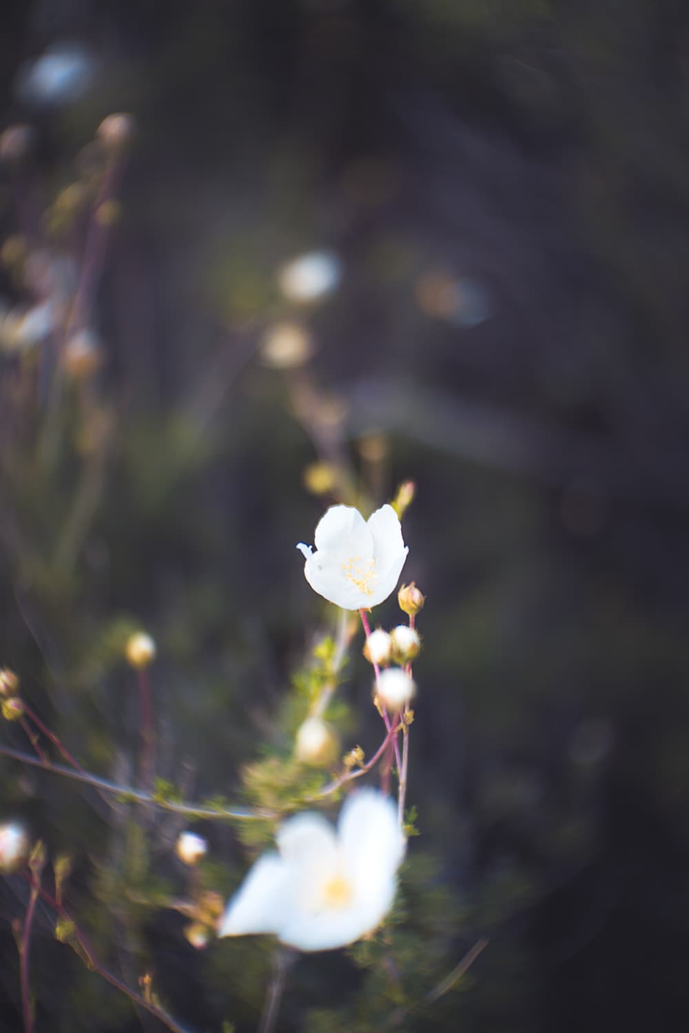 The Archive - Alex Poli Photography